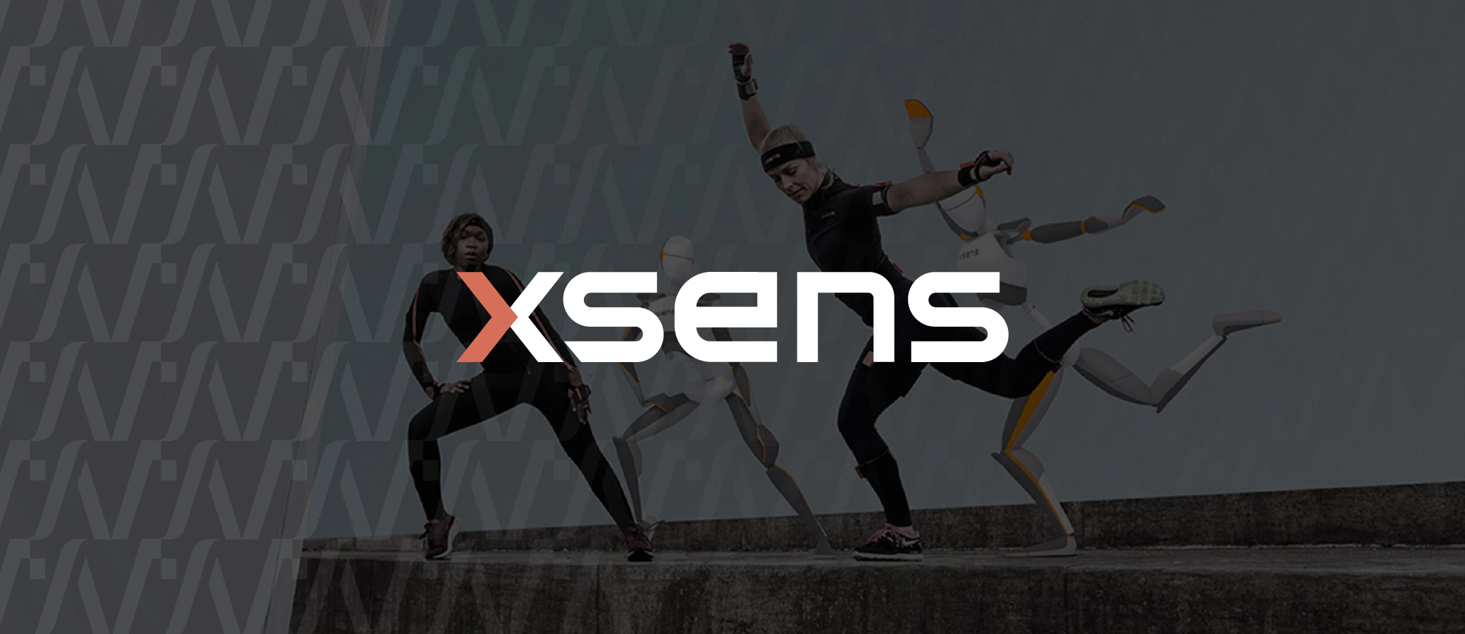 MVN Animate | 株式会社ボーンデジタル