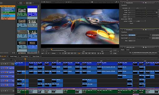Hiero | 株式会社ボーンデジタル