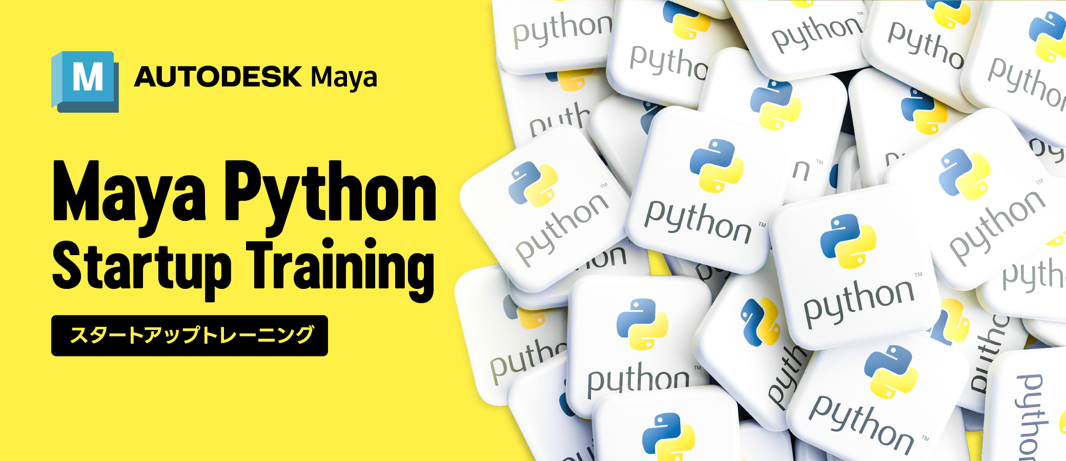 Maya Python スタートアップ トレーニング | 株式会社ボーンデジタル